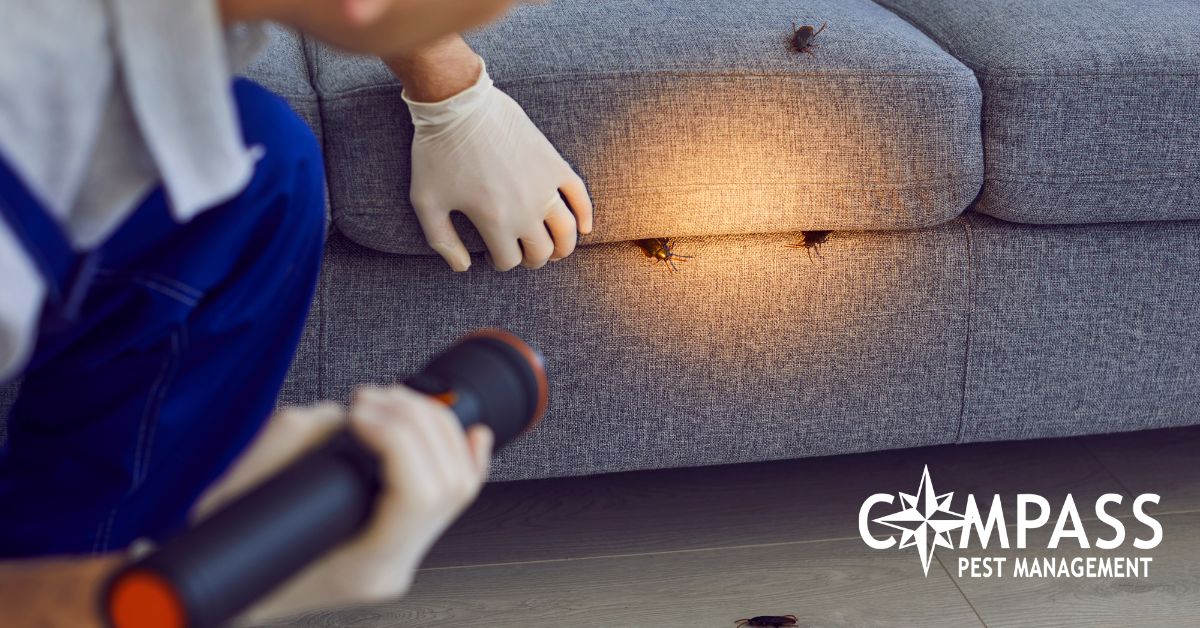 The Science of Pest Behavior Explained | Compass Pest Management