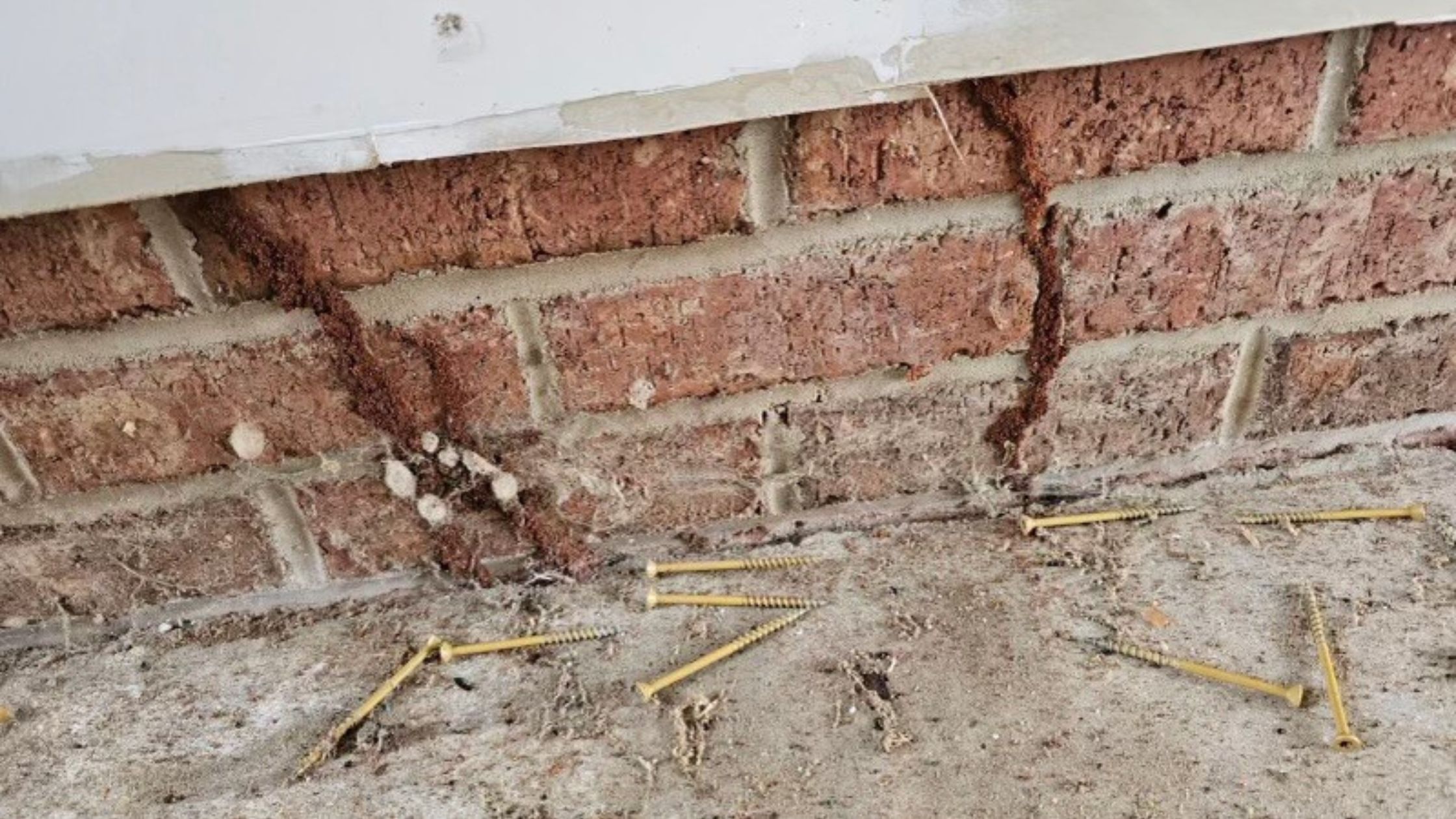 How to Identify Termite Damage and Prevent Infestations